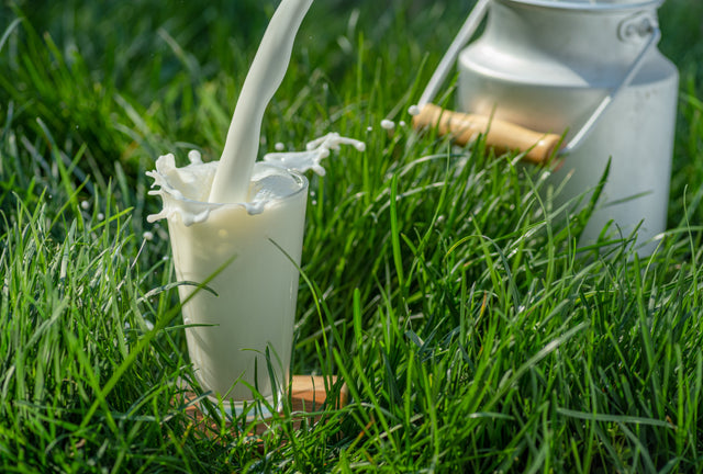 What Does Colostrum Look Like? Taking A Closer Look – Prelude